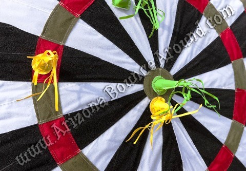 Inflatable Velcro Dart Board Rentals - Giant Dart Boards - Phoenix ...